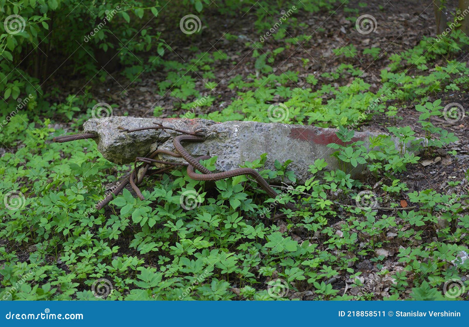 Rusty Old Rebar Steel Used In Construction. Stock Photography ...