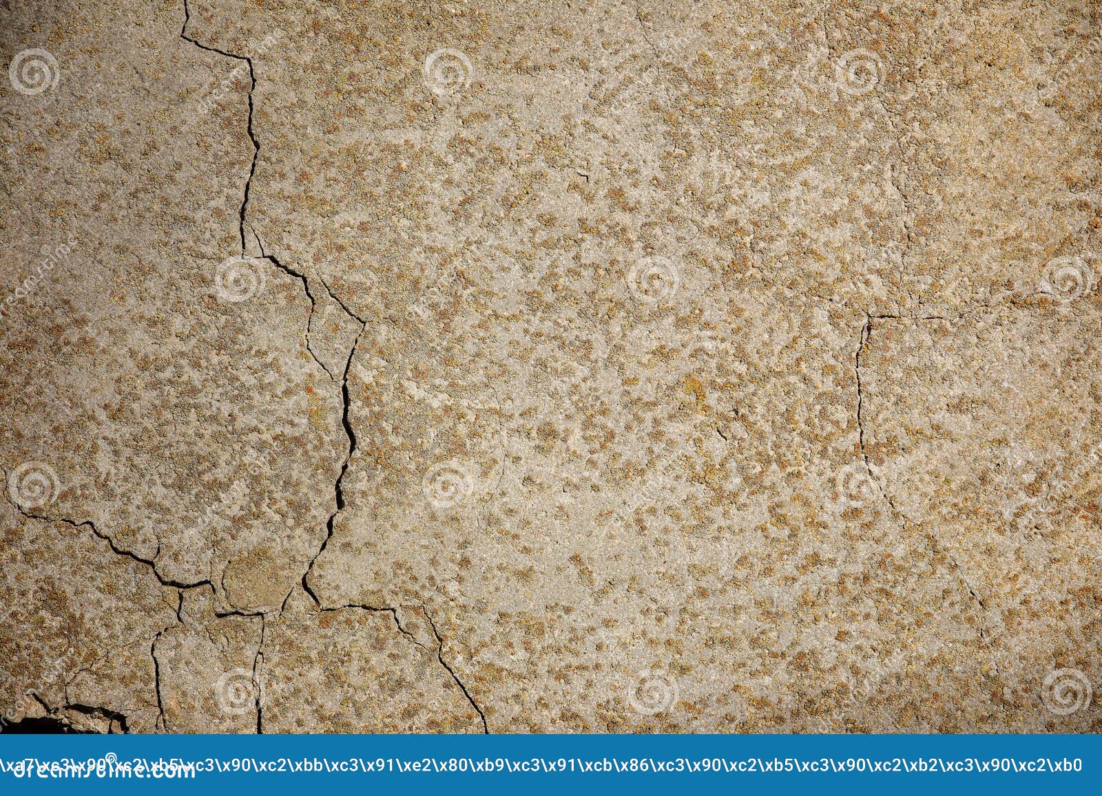 A Fragment of a Concrete Wall with Cracks and Plaster Defects, Texture ...
