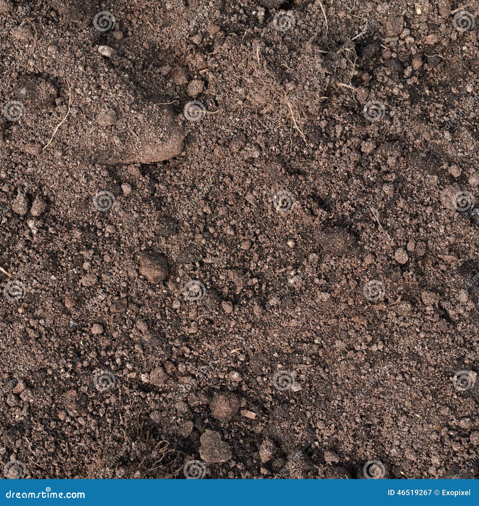 Fragment of an Earth Soil Texture Stock Image - Image of grunge, dirty ...