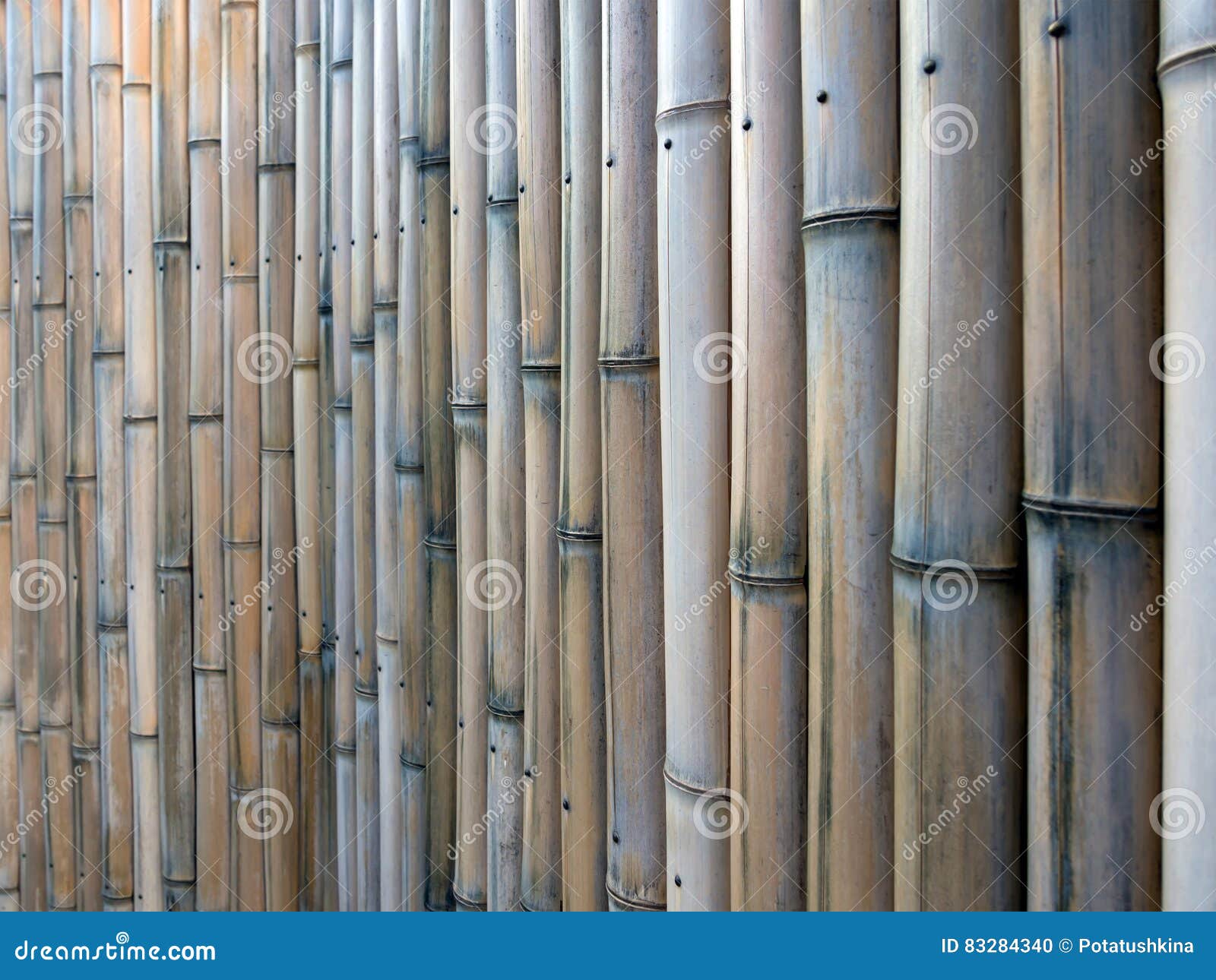Fragment of a Fence Made of Bamboo Sticks Stock Photo - Image of bamboo ...