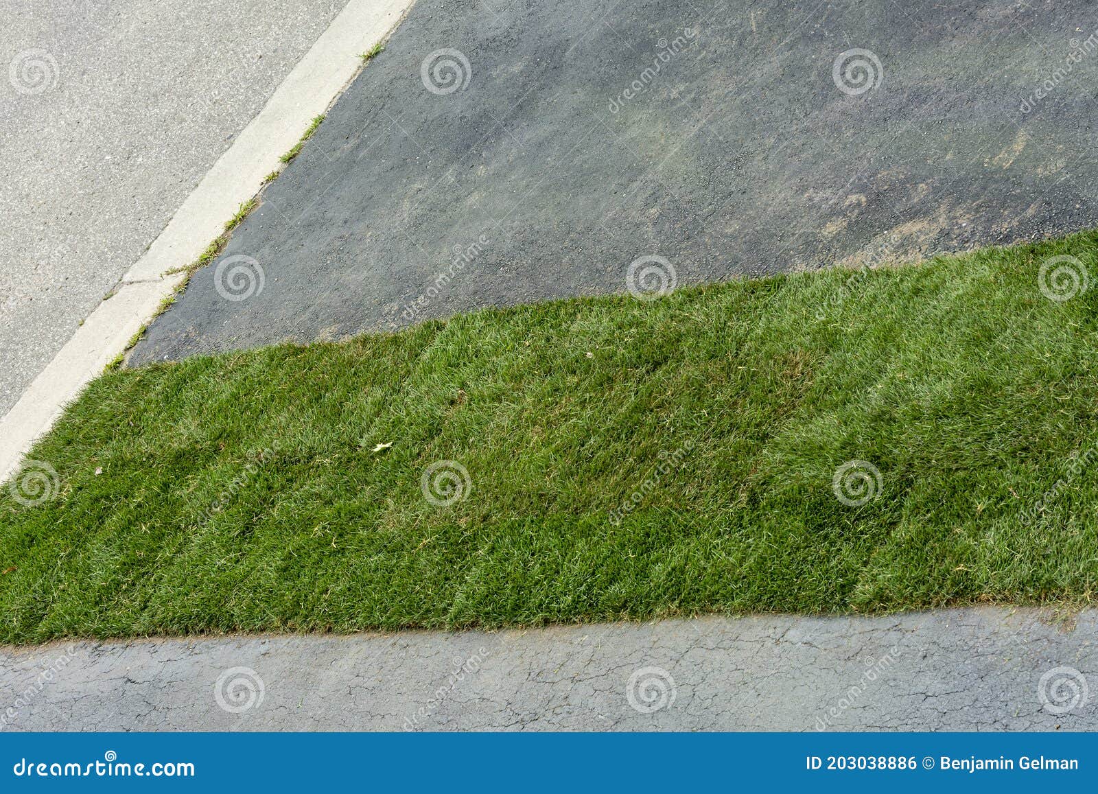 Fragment of the Finished Plot with New Grass Stock Photo - Image of ...