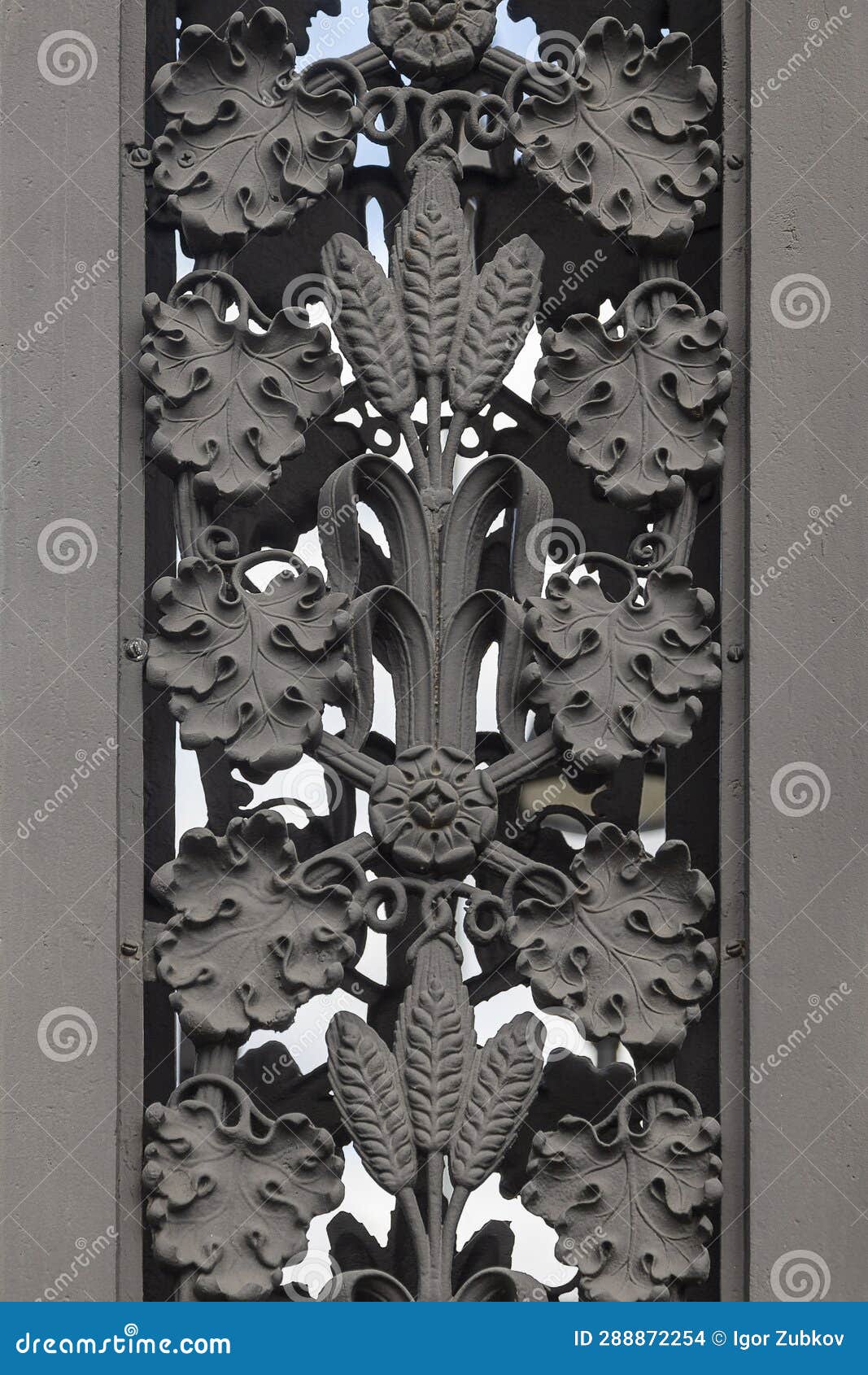 Fragment of Forged Ornate Floral Pattern in Black Color Stock Photo ...
