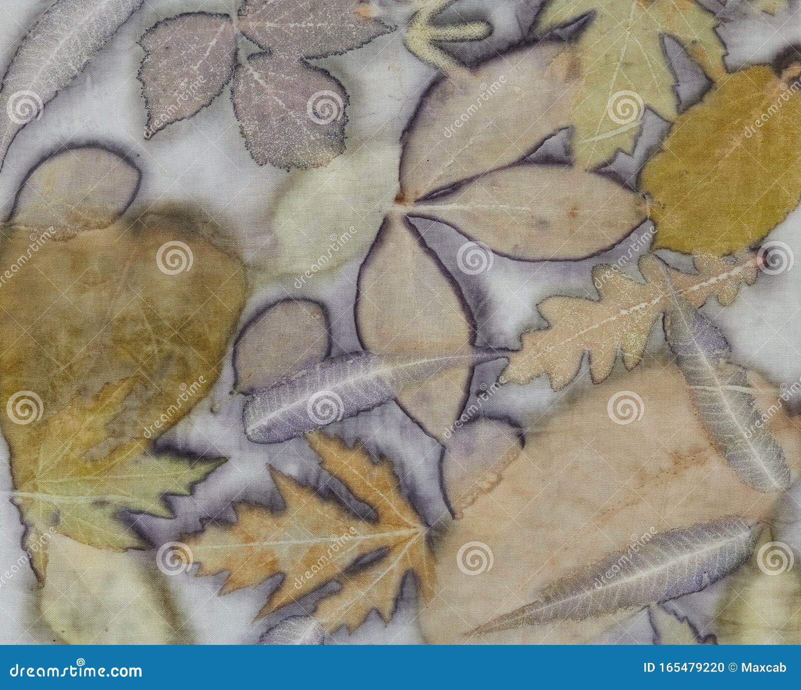 Fragment of Hand-dyed Fabric Using Eco-print Technique Stock Photo ...