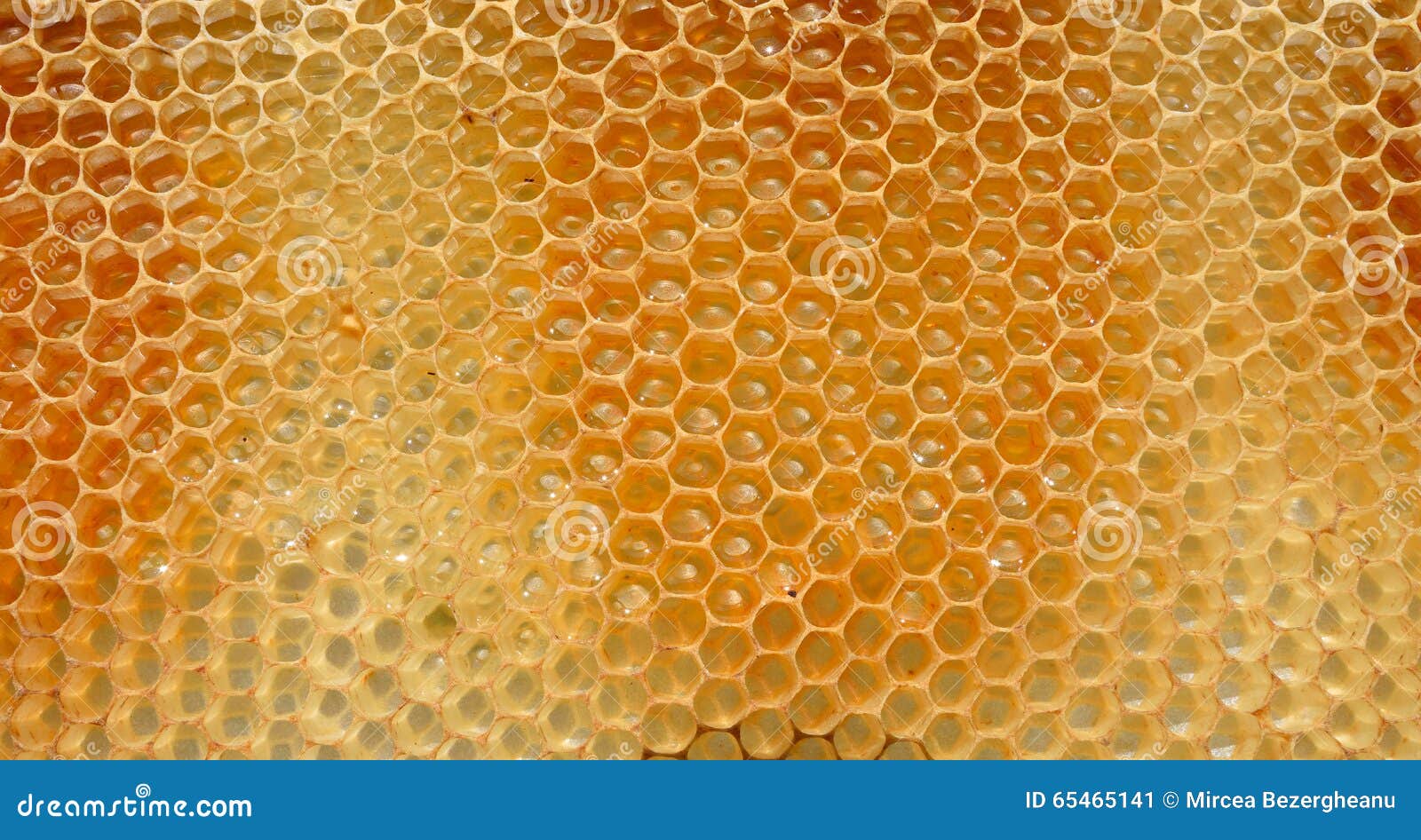Fragment of Honeycomb with Full Cells Stock Image - Image of luminosity ...
