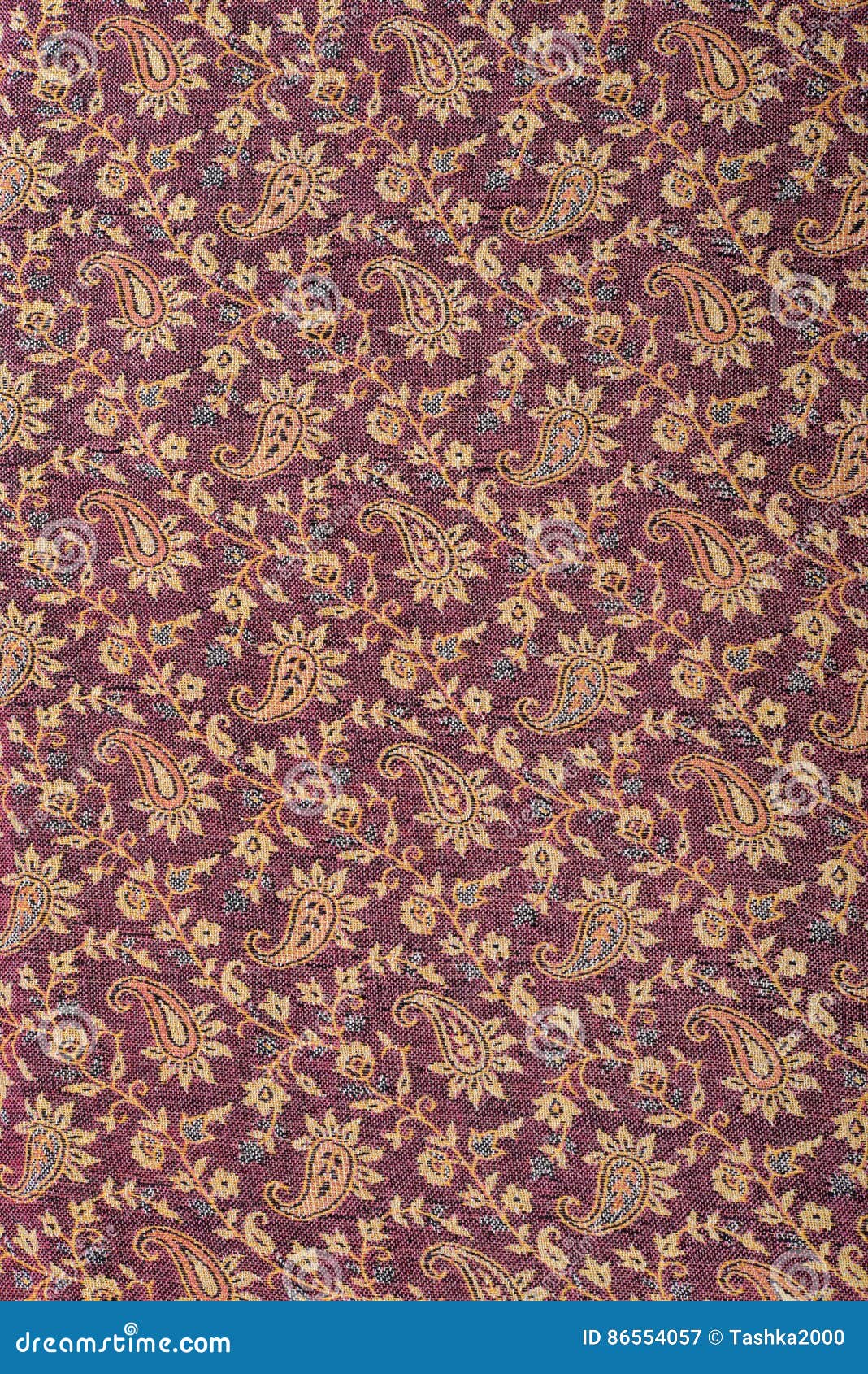 Fragment of Indian Pashmina Shawl Pattern Stock Image - Image of cloth ...