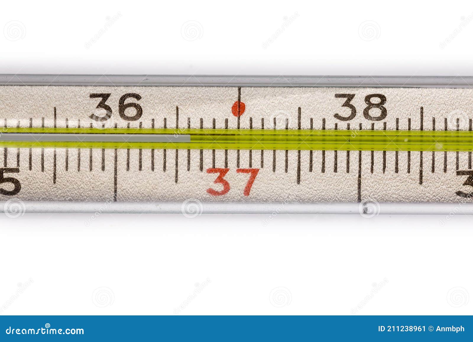Fragment Of Medical Mercury Thermometer Showing Normal Human Body