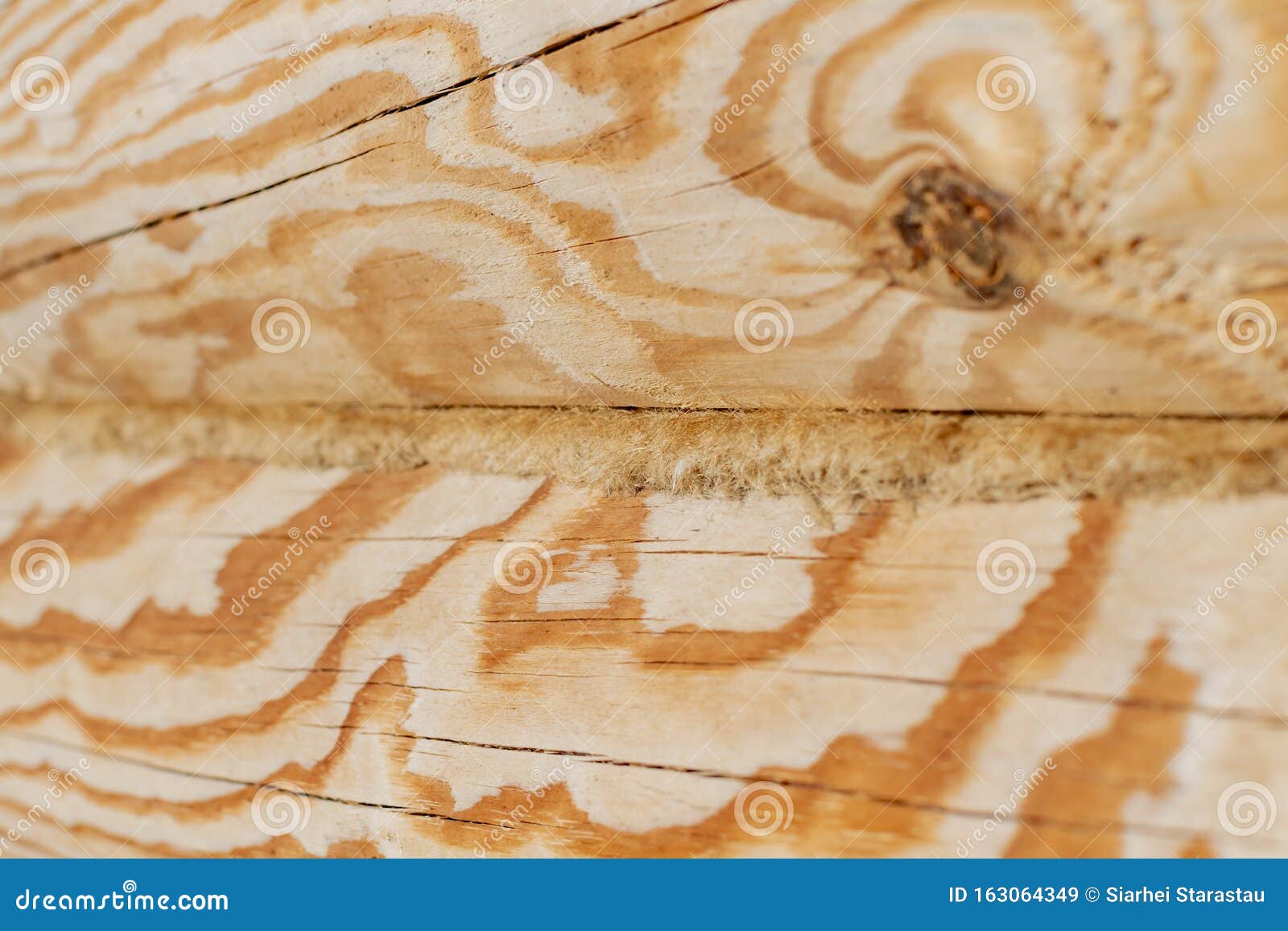 A Fragment of a New Frame of Timber Stock Image - Image of residence ...