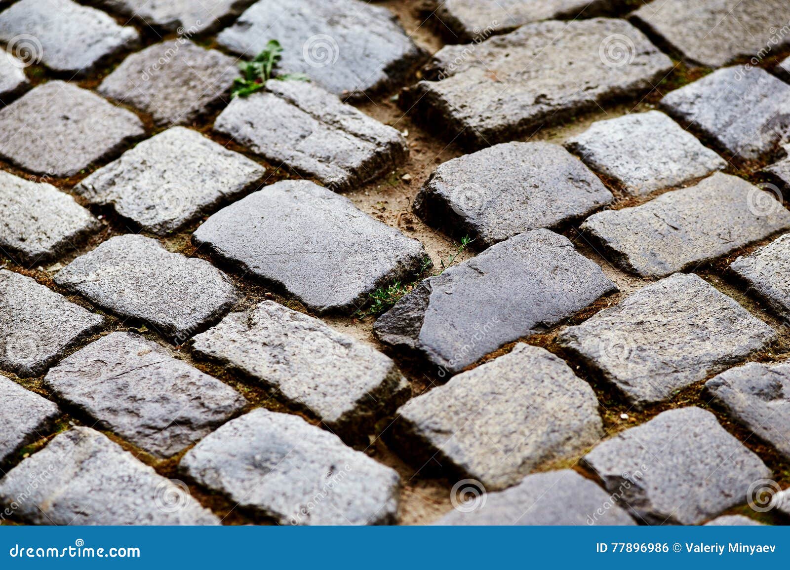 Fragment of Old Cobblestone Road , the Cobblestones Stock Photo - Image ...