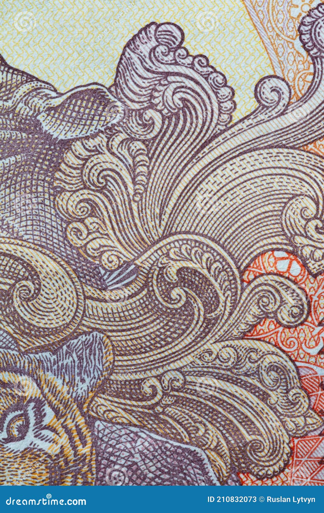 Fragment of Old 10 Indian Rupee Reverse Stock Image - Image of ...