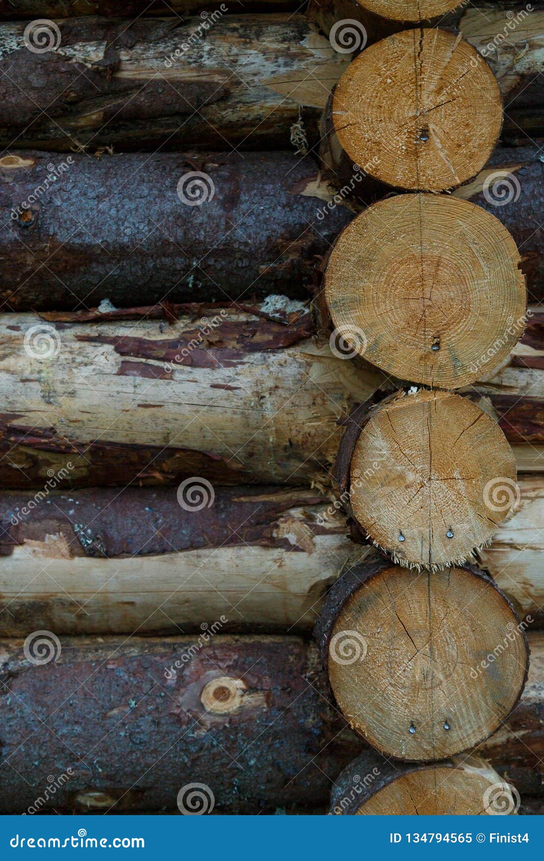 Fragment of an Old Log Wall of Raw Logs. Texture Stock Image - Image of ...