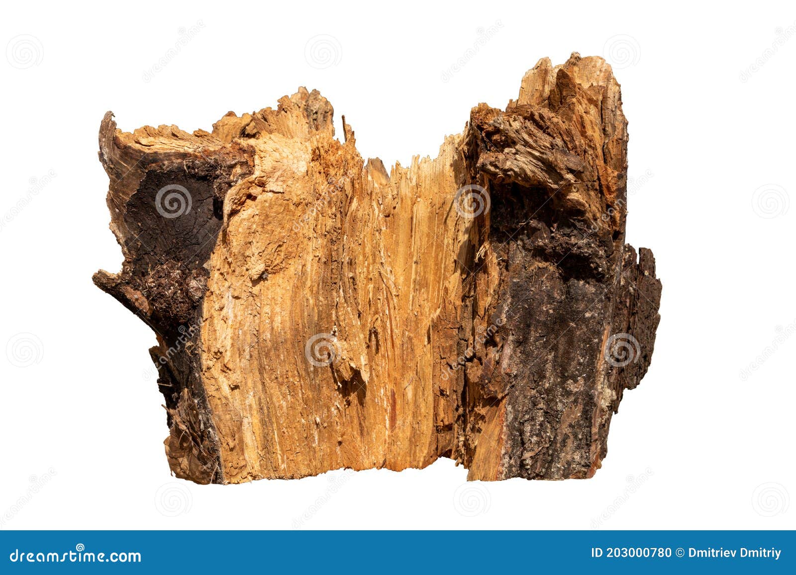A Fragment of an Old Rotten StumpÑŽ. Stock Photo - Image of background ...