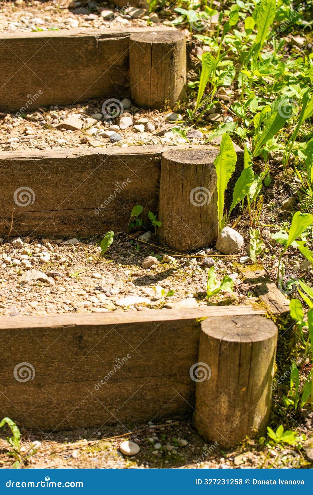 A Fragment of Old Steps Made of Boards, Round Timber and Crushed Stone ...
