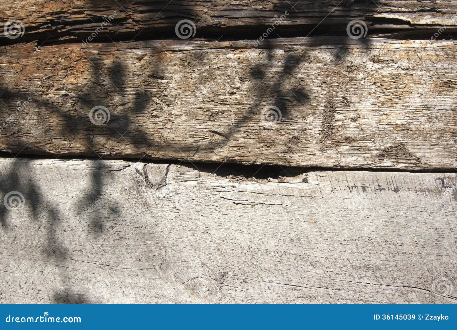 Fragment Old Wooden Wall with Shadow of Tree Branch Stock Image - Image ...