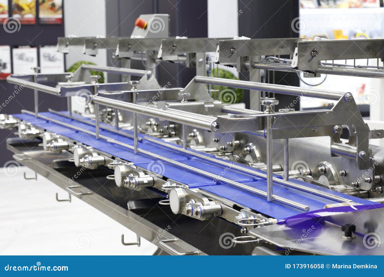 A Fragment of the Packaging System. Conveyor Belt at a Food Factory ...
