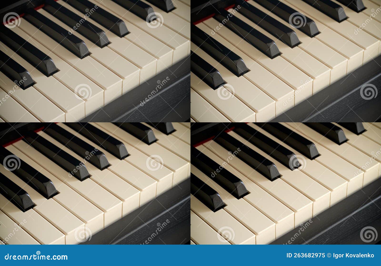 Fragment of Piano Keys, Classical Music Stock Image - Image of leaves ...