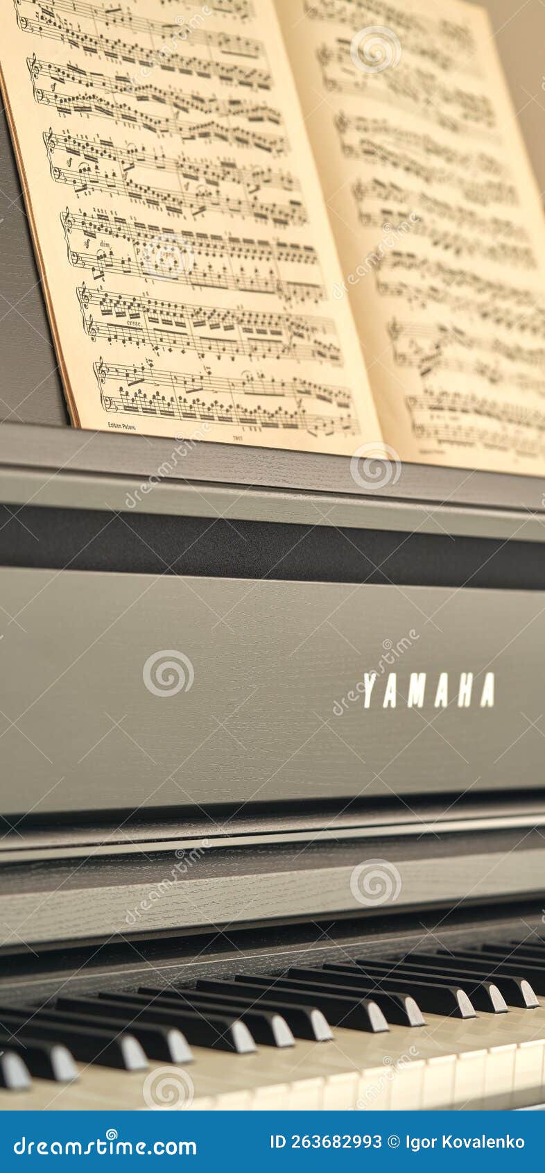 Fragment of Piano Keys, Classical Music Stock Image - Image of flower ...