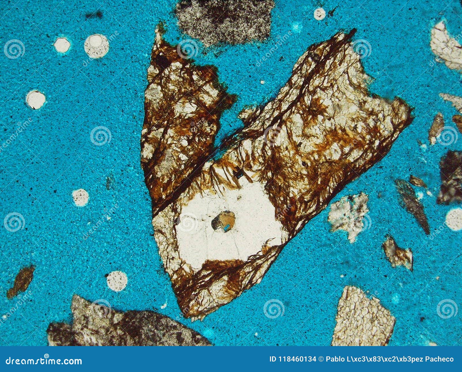Background Texture Rocks and Minerals Stock Photo - Image of texture ...