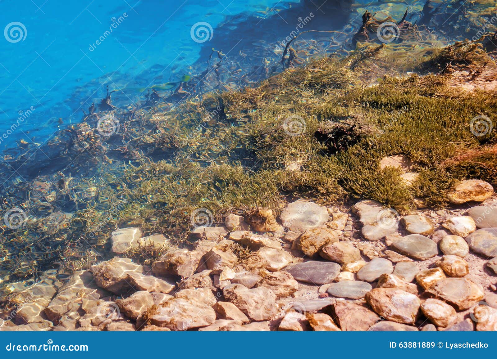 A Fragment of the Rocky Bottom of a Mountain Lake. Stock Image - Image ...