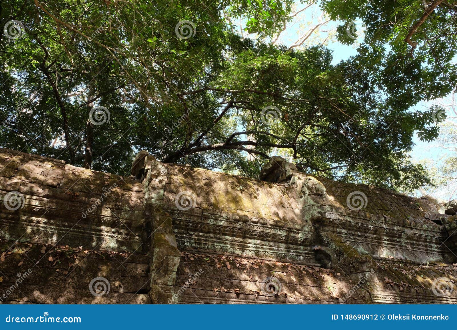 Fragment of the Roof of an Ancient Building. Thick Crown of a Tree ...