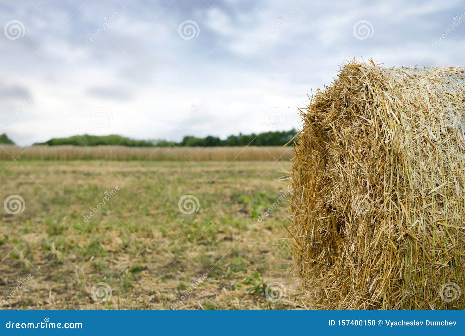 Fragment of a Round Haystack on a Field Stock Photo - Image of yellow ...