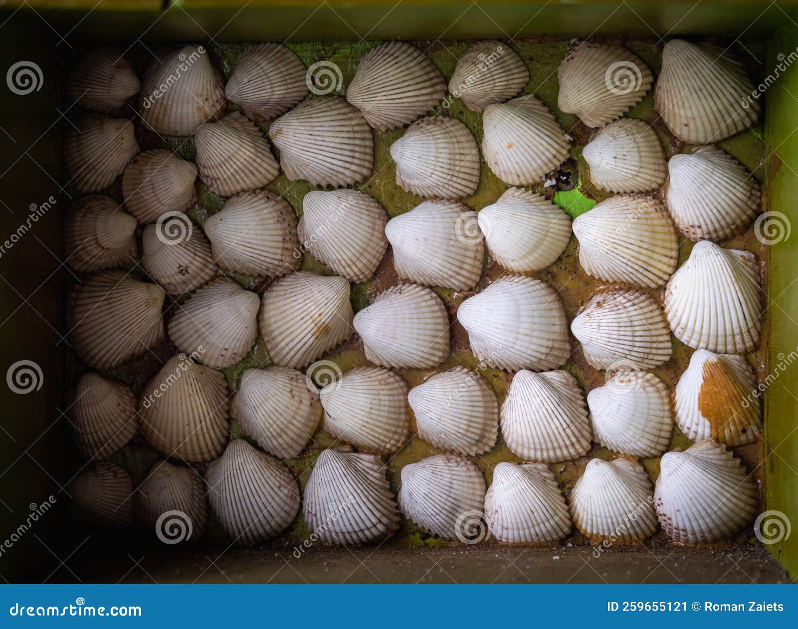 Fragment of a Stone Wall Decorated with Stones and Shells Stock Image ...