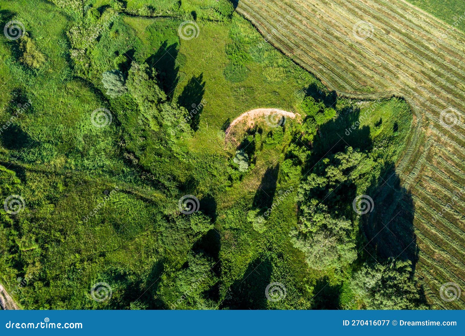 A Fragment of the Terrain with an Overgrown Ravine, a View from a ...