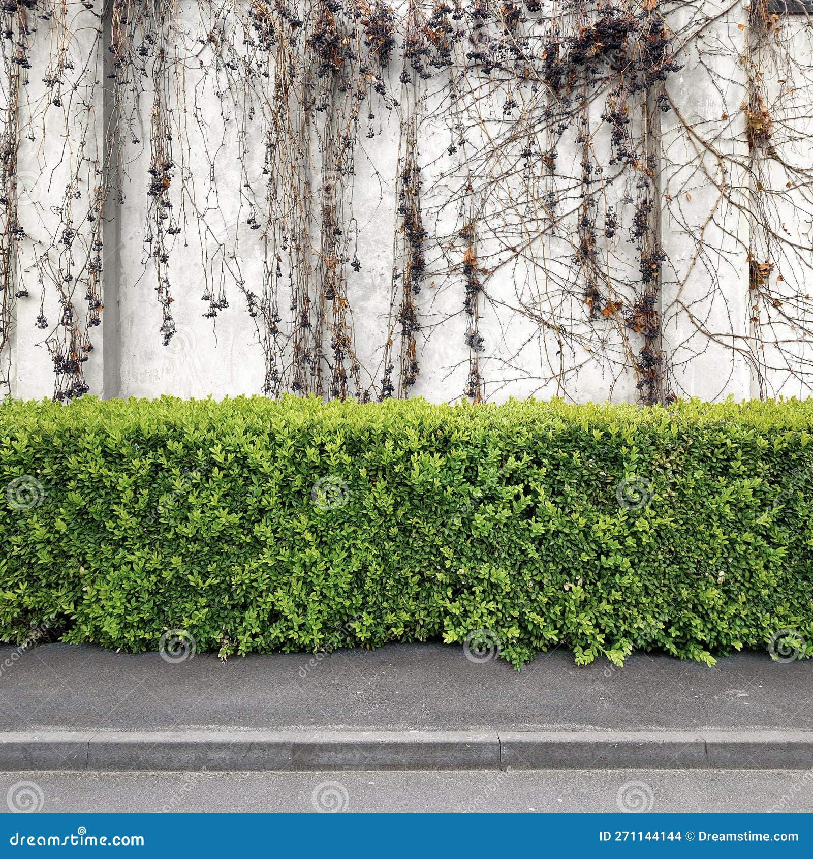 Fragment of Urban Concrete Building Wall Stock Photo - Image of ...