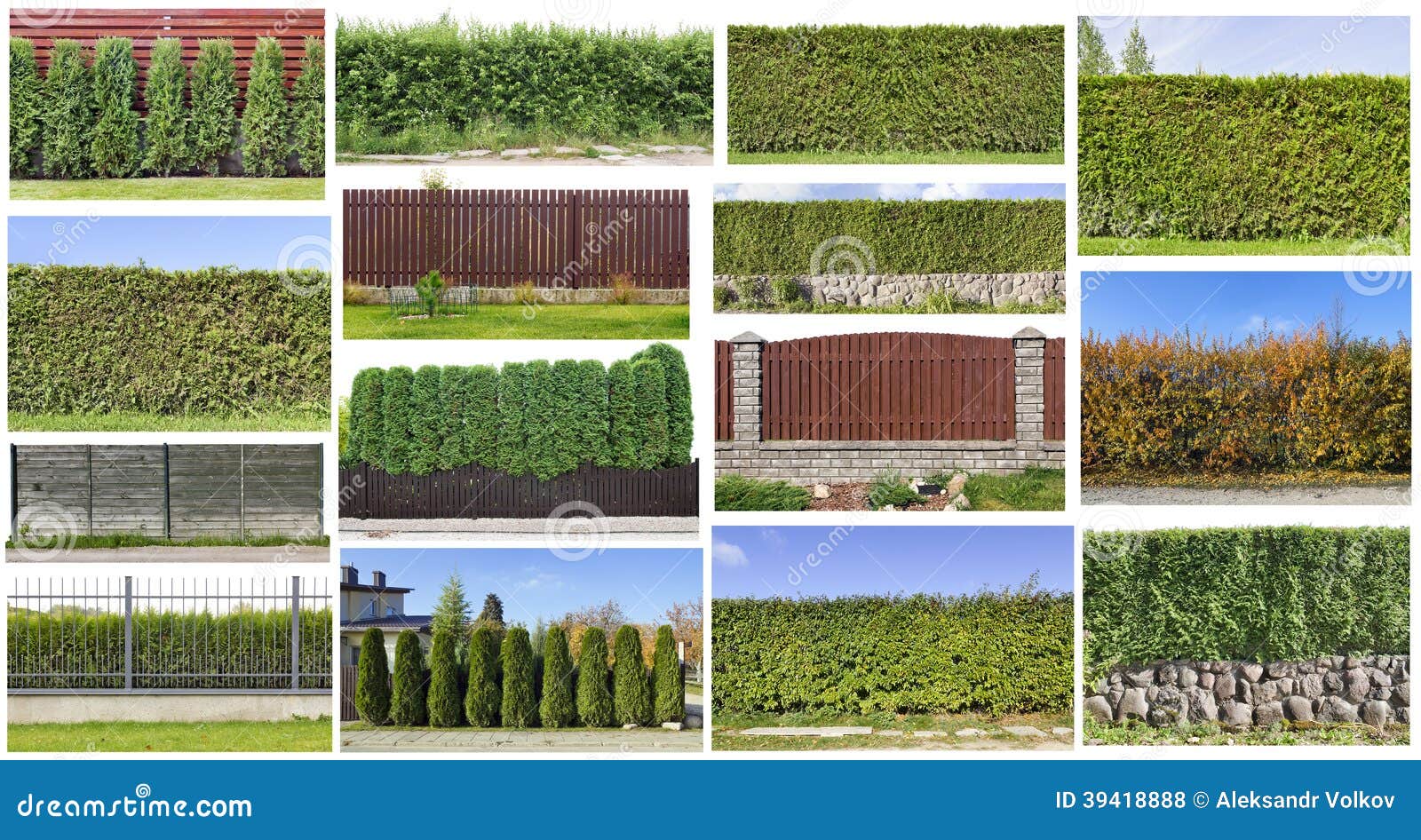 Fragmentos De Un Sistema Verde Del Seto Foto de archivo - Imagen de ...