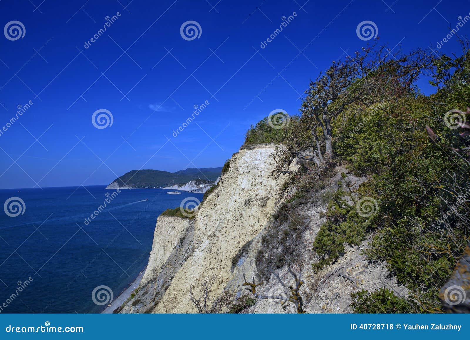 Fragments of forest 4 stock photo. Image of bright, include - 40728718