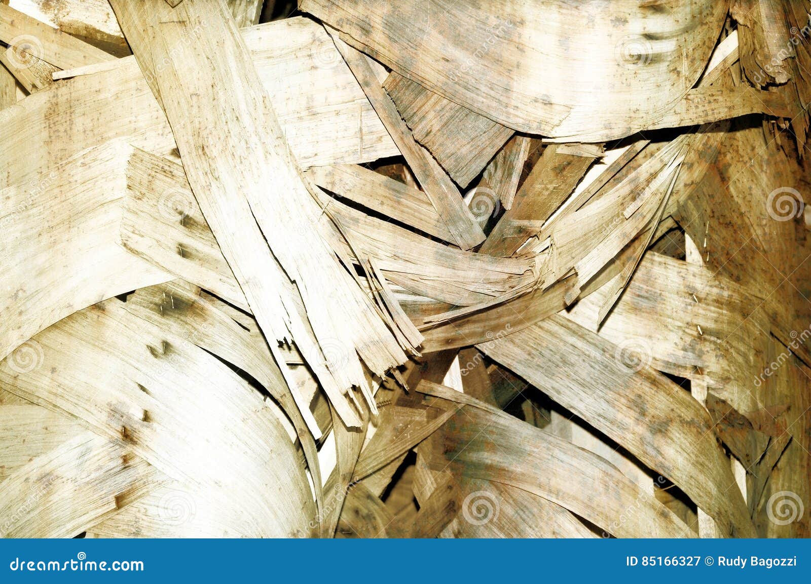 Fragments of Wood for Texture and Background Stock Image - Image of ...