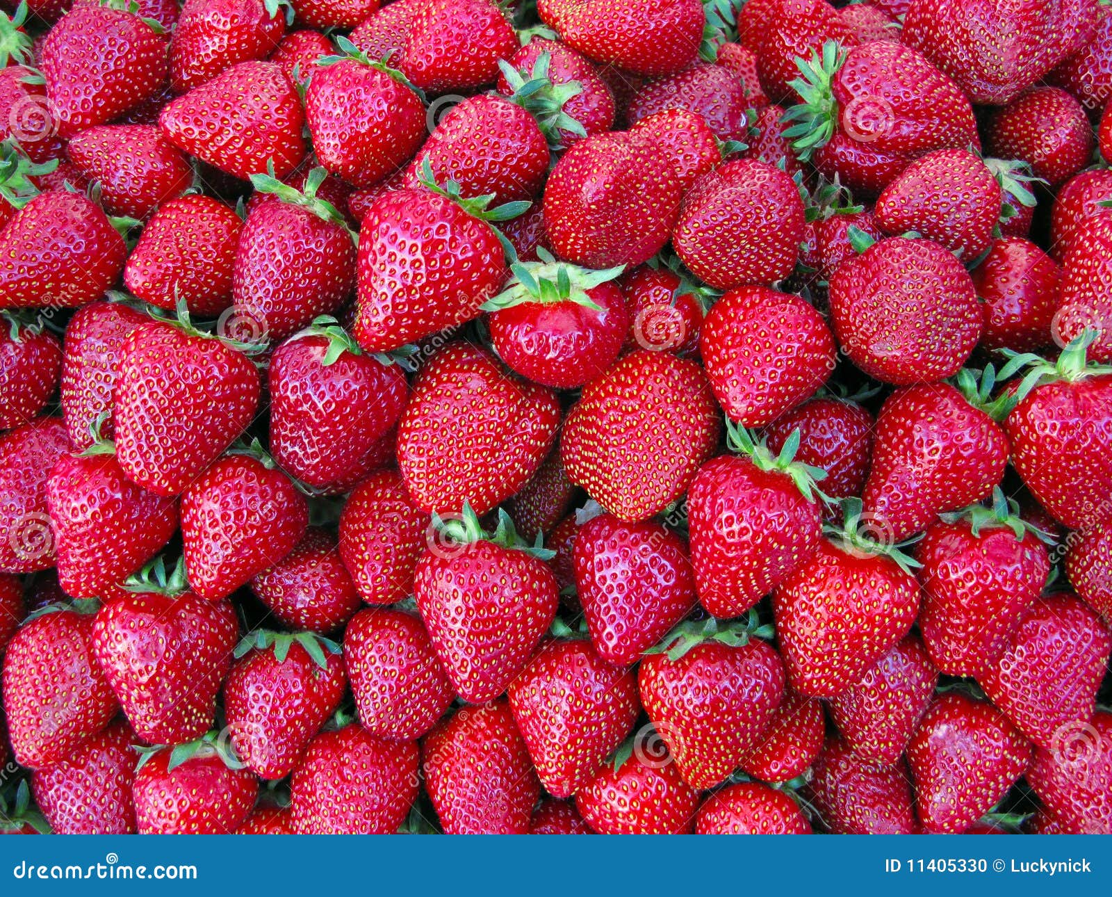 Fragola fotografia stock. Immagine di sano, minerali - 11405330