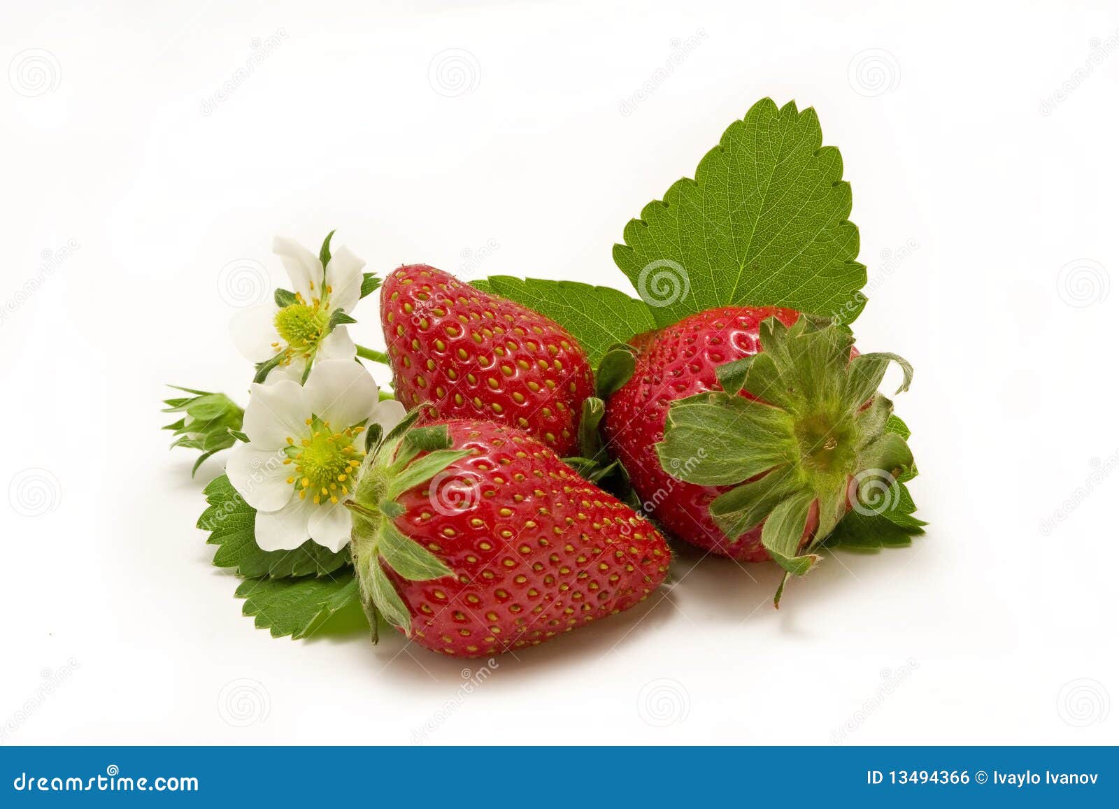 Fragola fotografia stock. Immagine di particolare, sugoso - 13494366