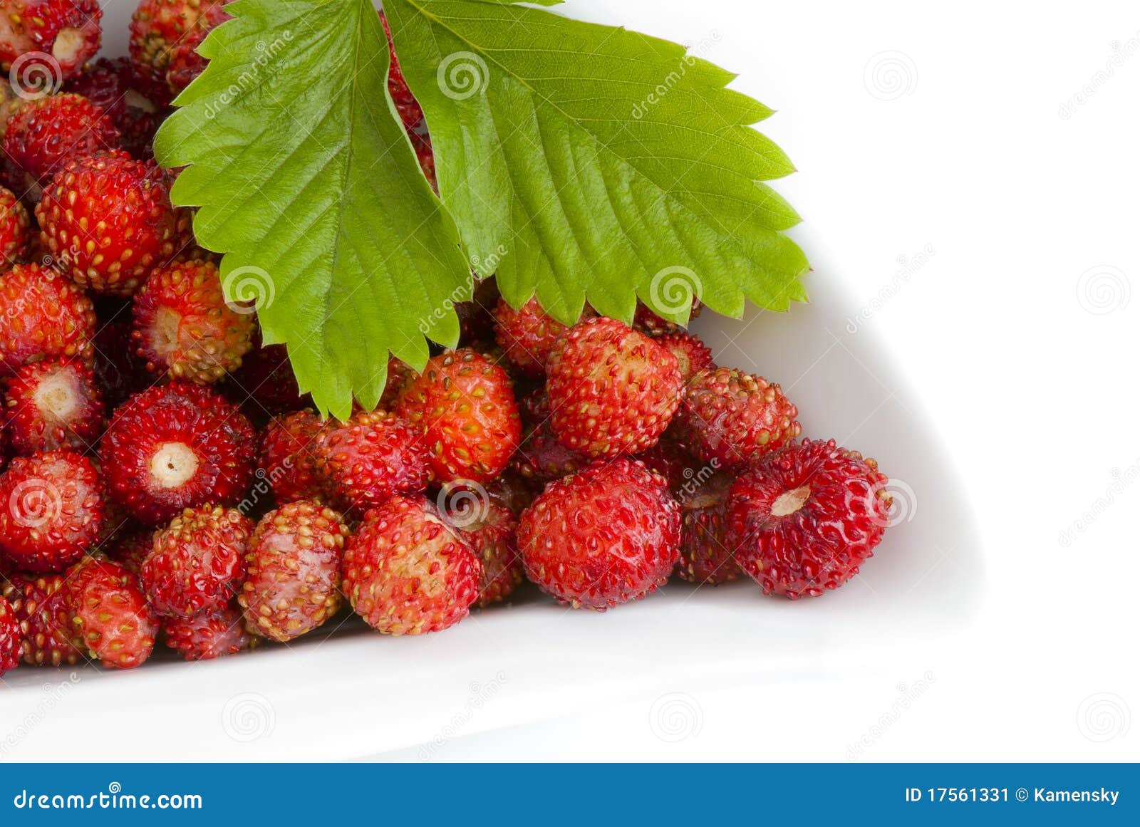 Fragola immagine stock. Immagine di colore, bacca, piastra - 17561331