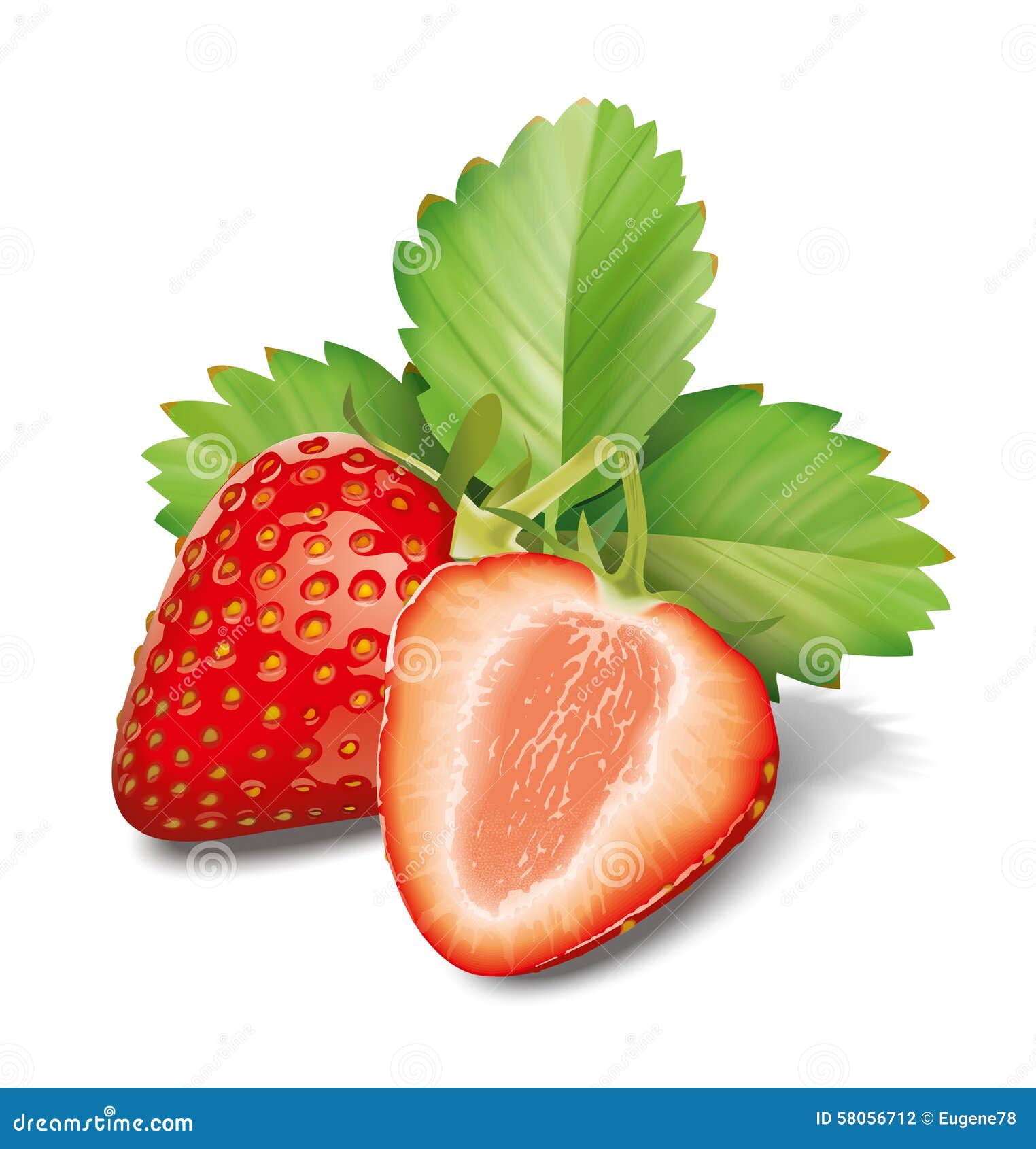 Fragola illustrazione vettoriale. Illustrazione di taglio - 58056712