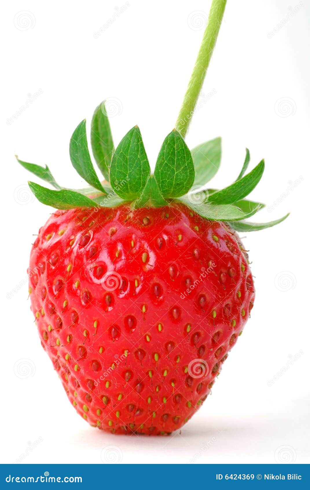Fragola immagine stock. Immagine di alimento, dolce, fragola - 6424369