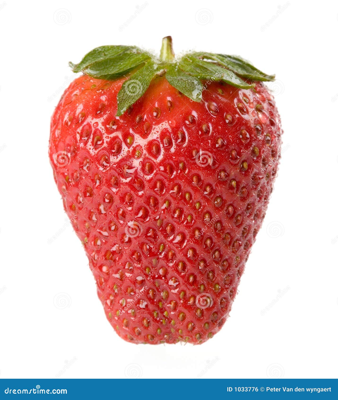 Fragola fresca fotografia stock. Immagine di bagnato, alimento - 1033776