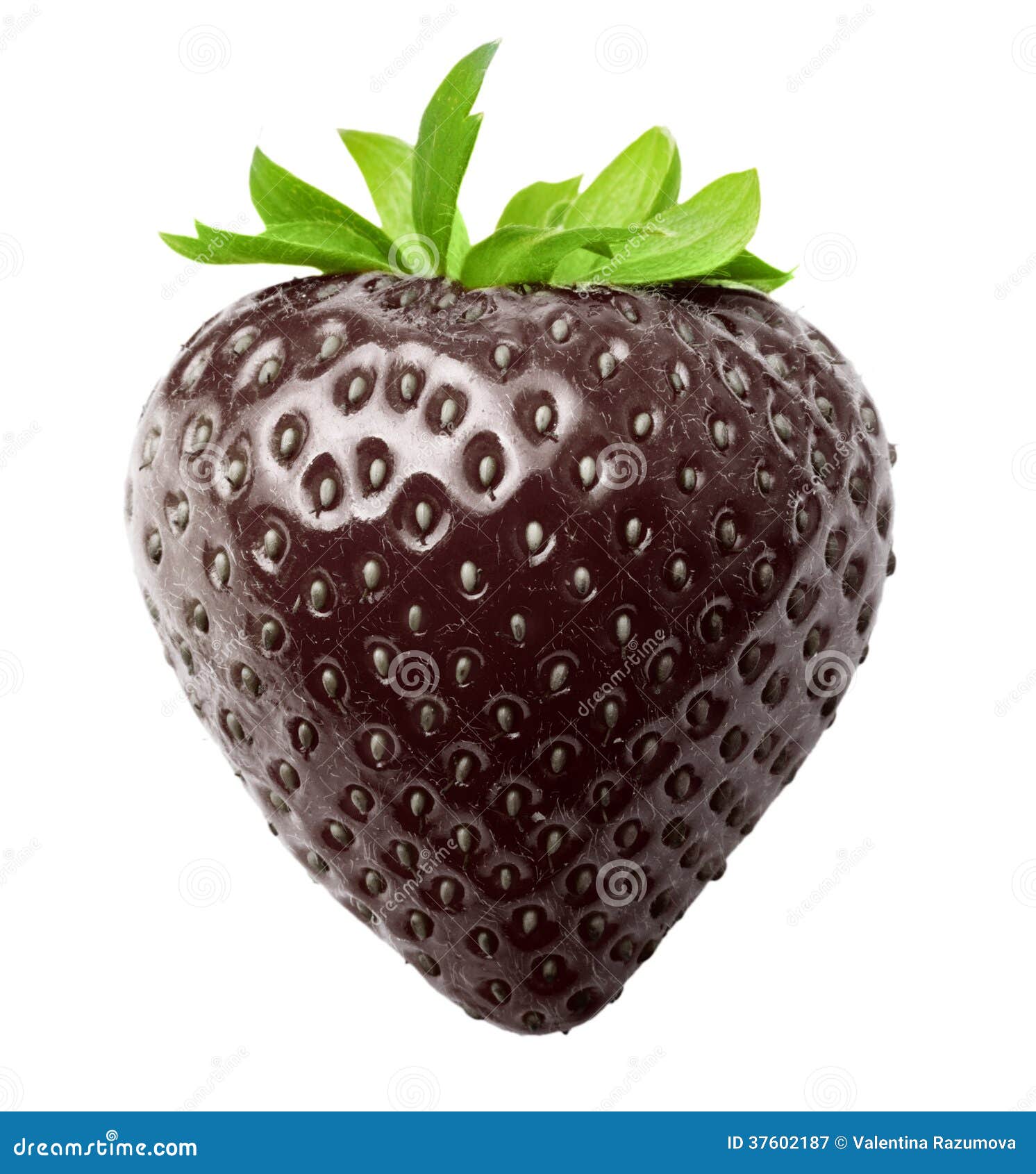 Fragola Nera Della Bacca Isolata Immagine Stock - Immagine di sano ...