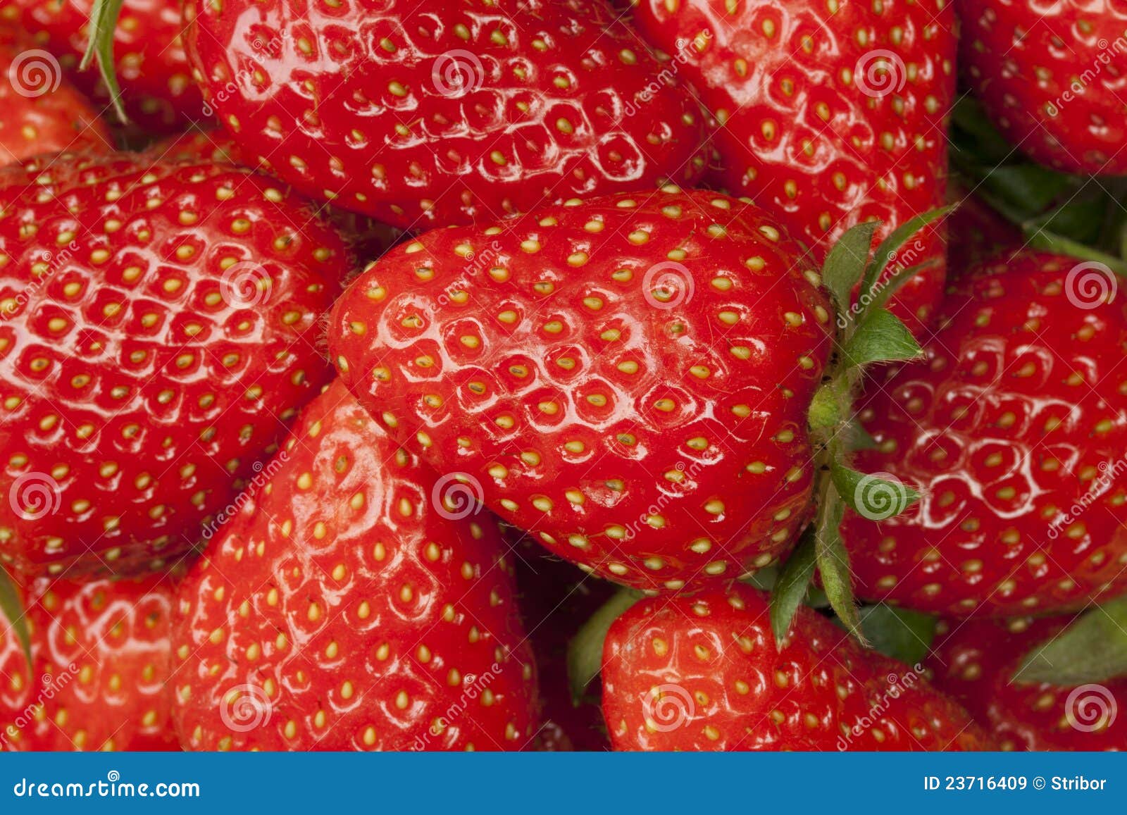 Fragole immagine stock. Immagine di bacca, alimento, frutte - 23716409
