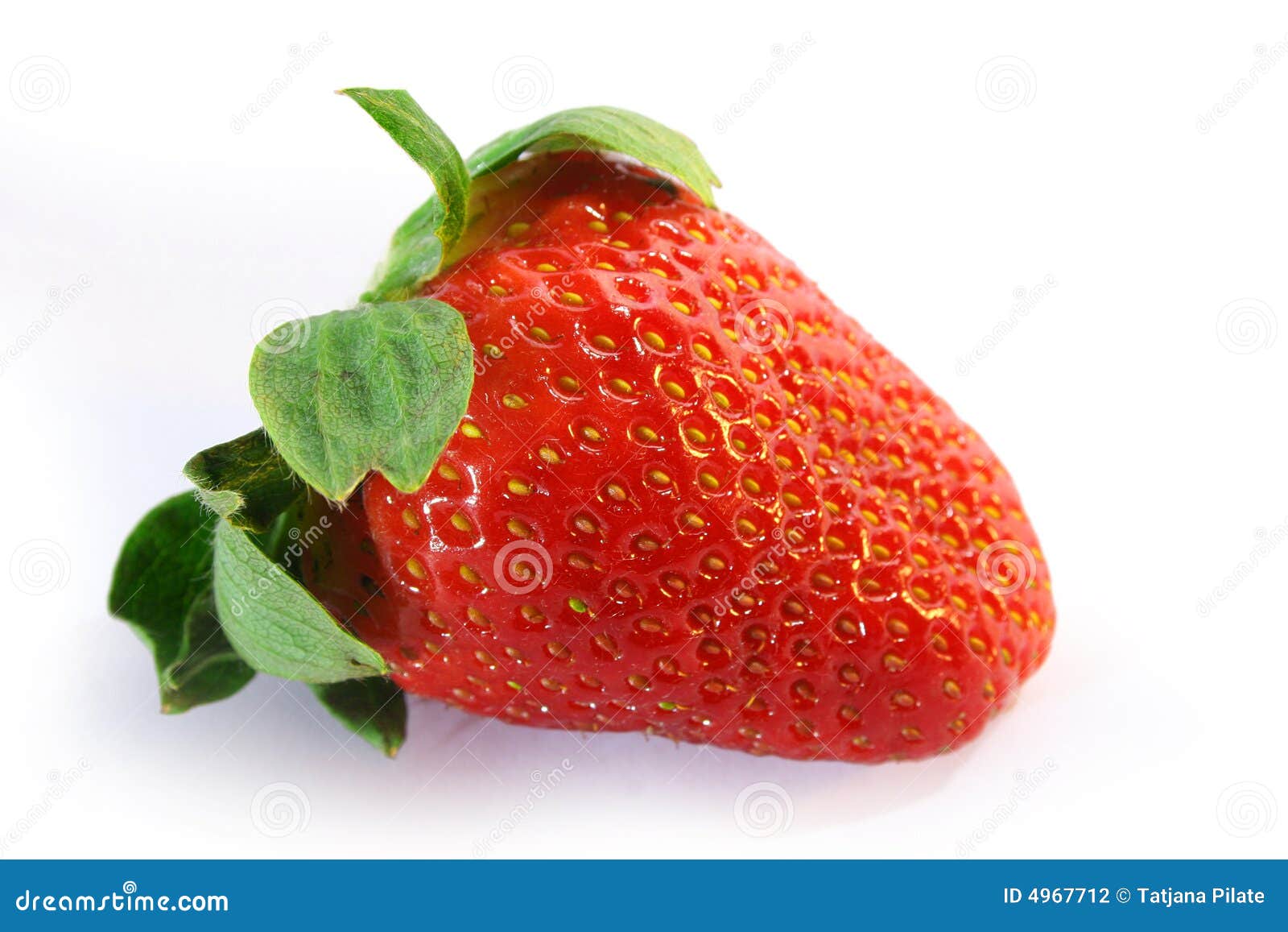 Fragole fotografia stock. Immagine di sugoso, sapore, pianta - 4967712