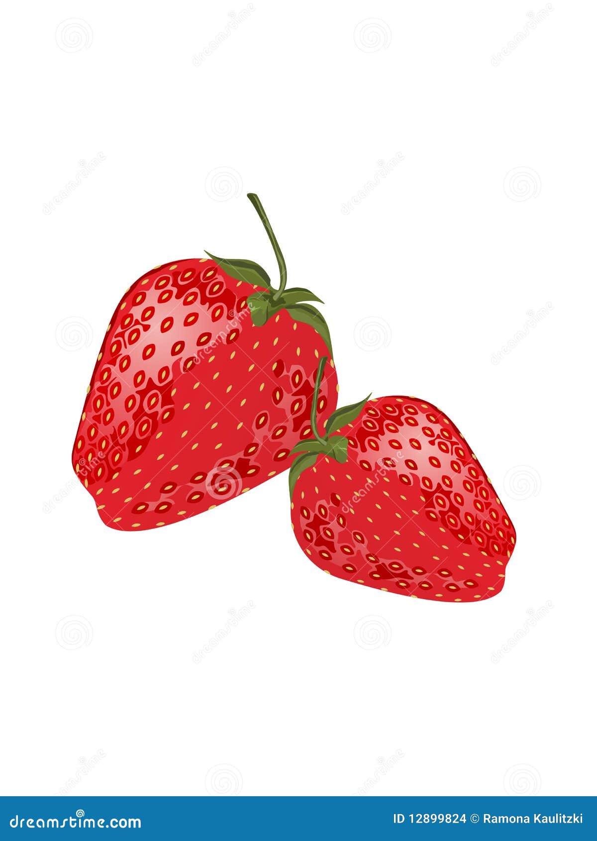 Fragole - frutta illustrazione vettoriale. Illustrazione di frutta ...