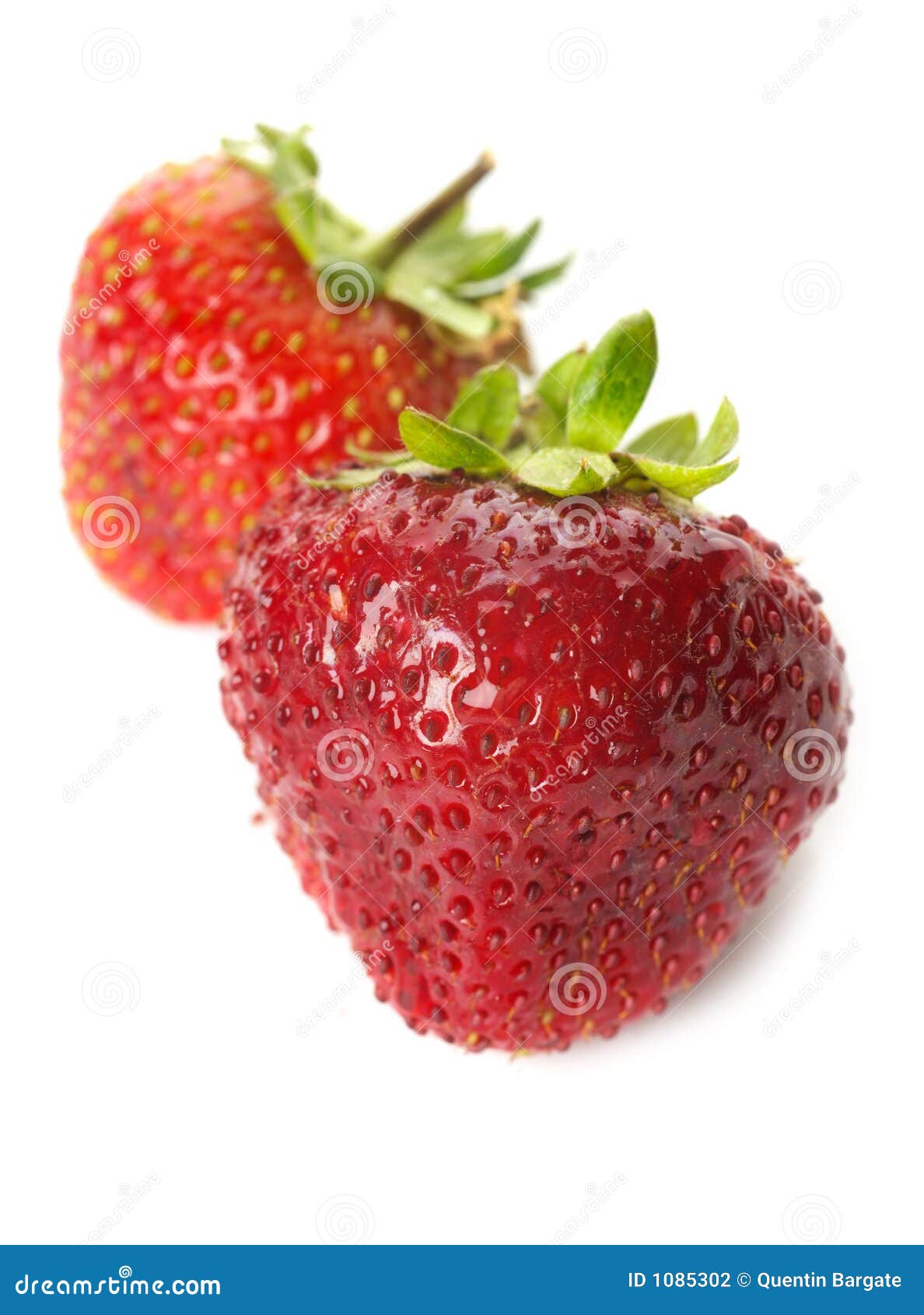 Fragole Mature Fresche, Isolate Fotografia Stock - Immagine di isolato ...