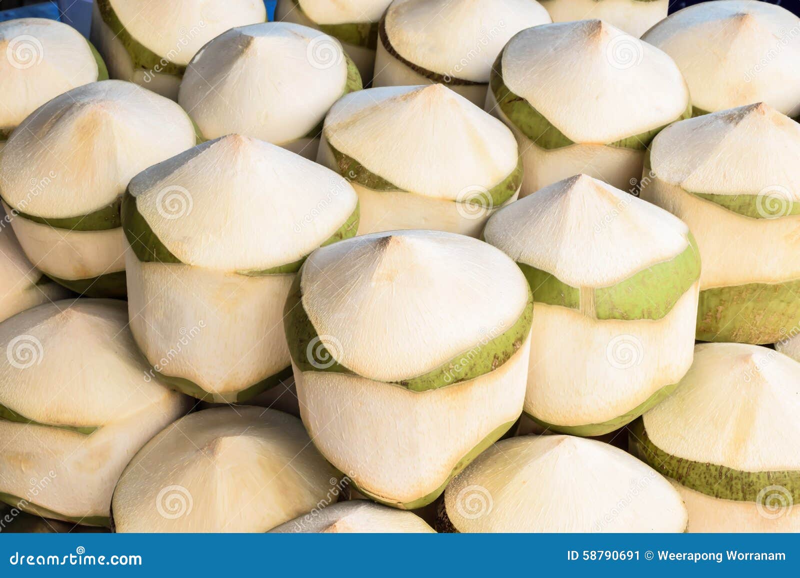 Fragrance coconut stock image. Image of agriculture, plant - 58790691