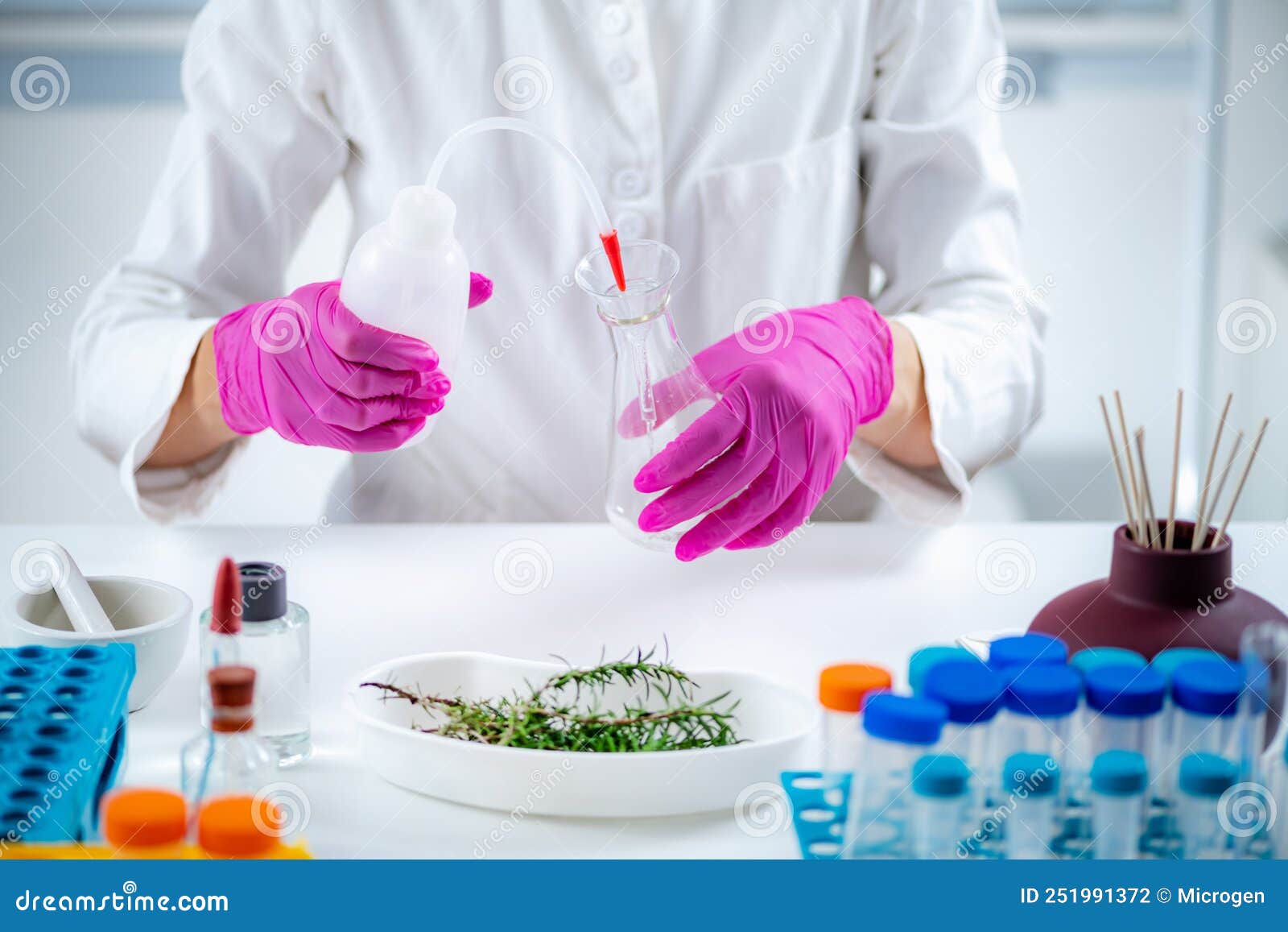Fragrance Laboratory Analysis Stock Photo - Image of woman, receptors ...