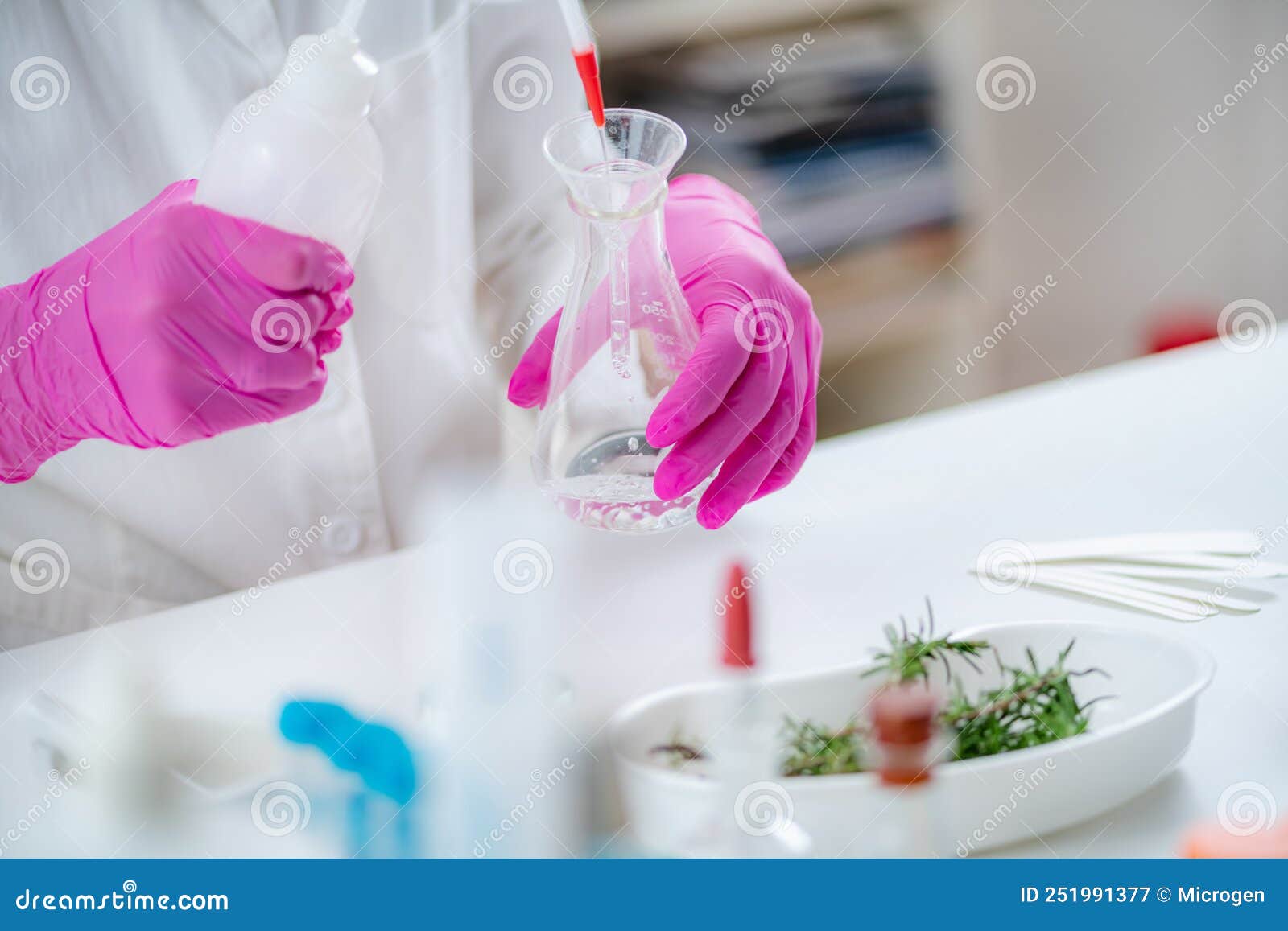 Fragrance Laboratory Analysis Stock Image - Image of research ...