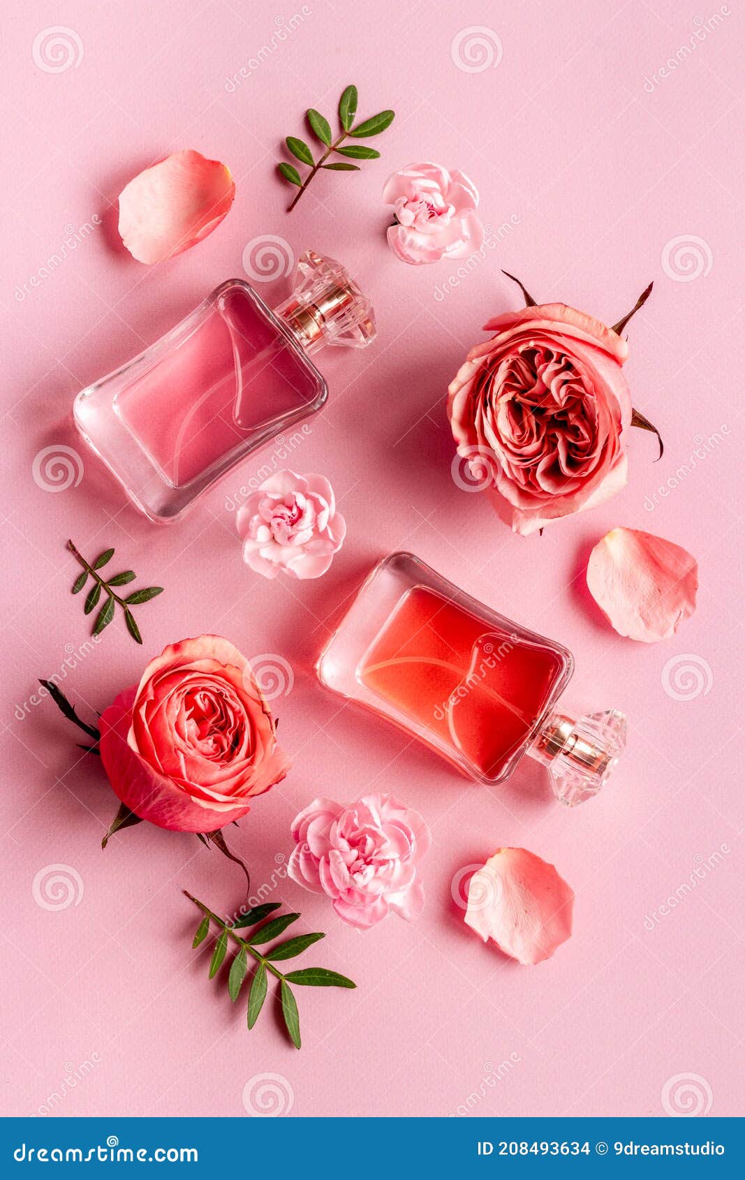 Fragrances Perfume Bottles with Flowers, Flat Lay, Top View Stock Photo ...