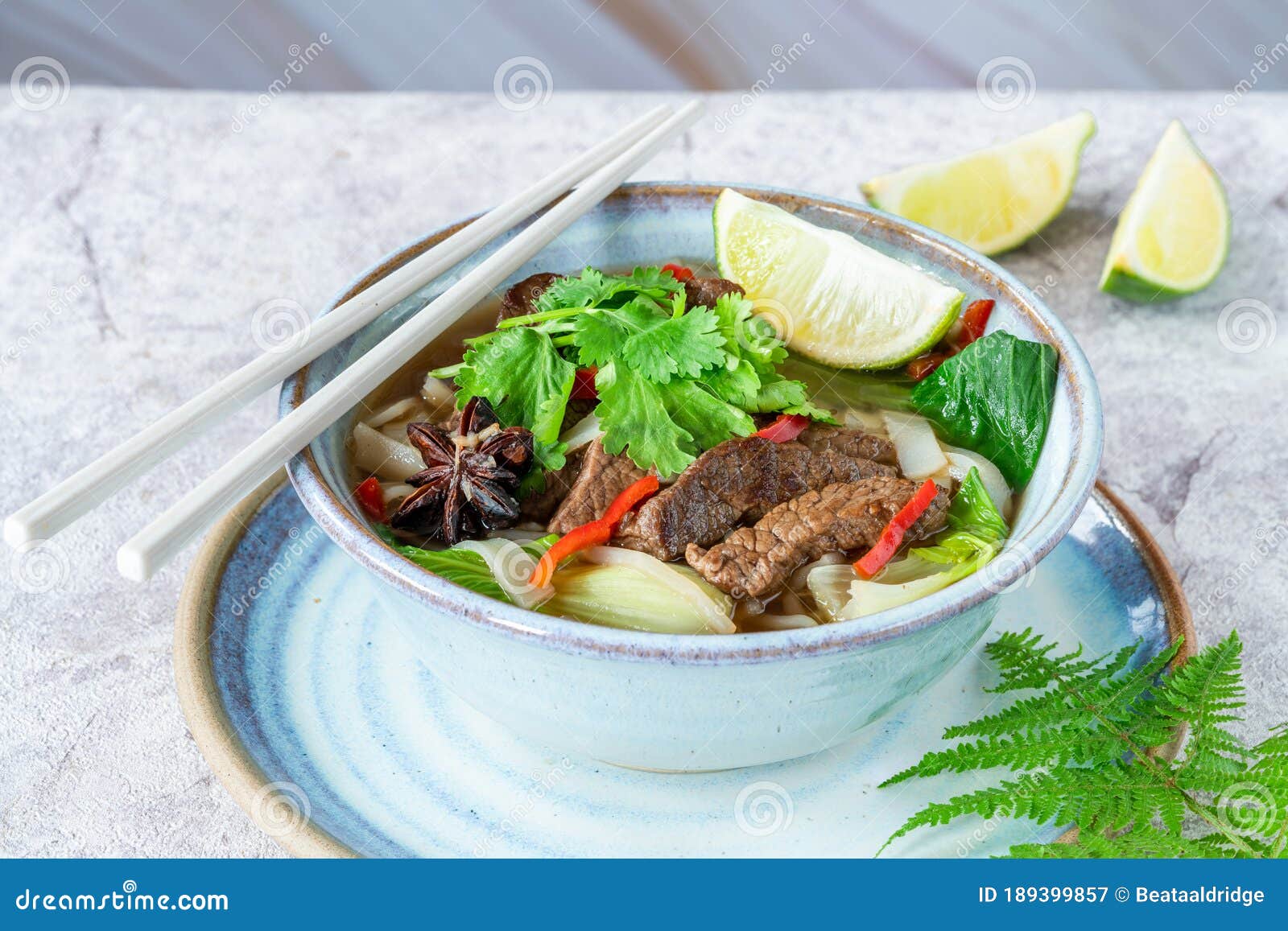 Fragrant Beef and Noodle Soup Stock Image - Image of dish, broth: 189399857