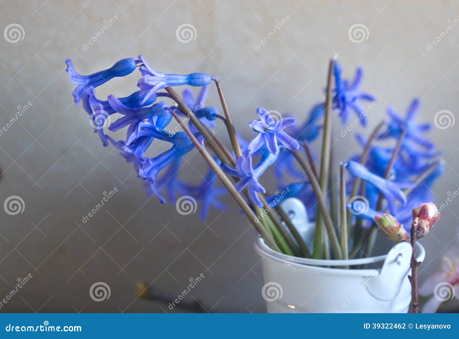 Fragrant Bouquet of Spring Purple Flowers Stock Photo - Image of beauty ...