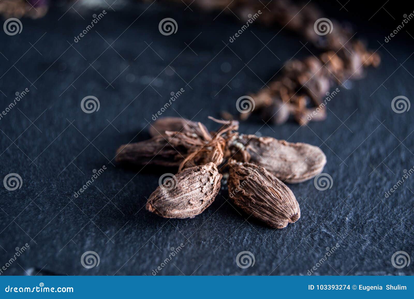Fragrant cardamom stock photo. Image of fragrant, seasoning - 103393274