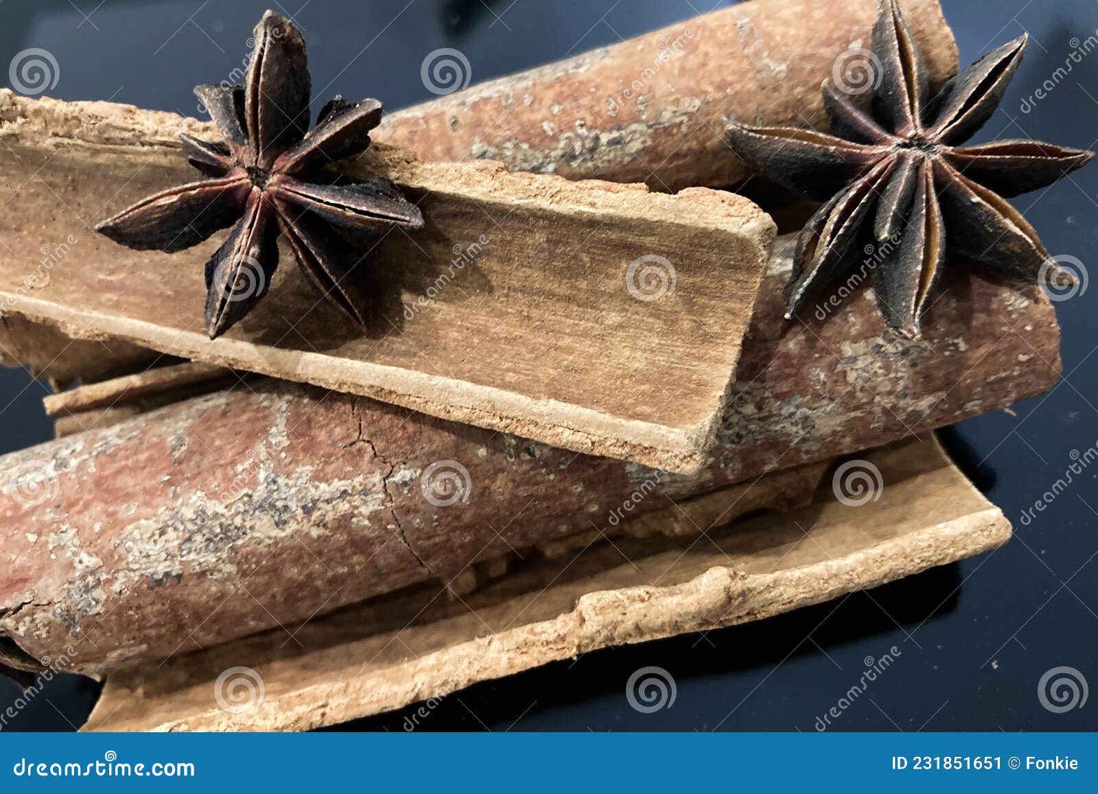 Fragrant cinnamon bark stock image. Image of branch - 231851651