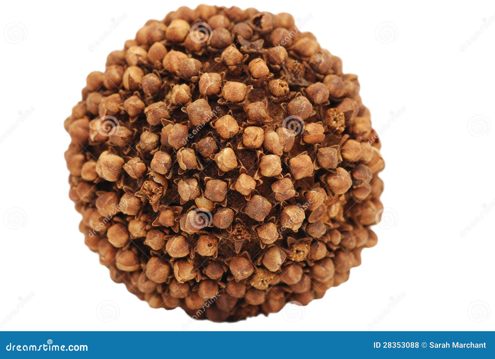 Fragrant Clove and Orange Pomander Stock Photo - Image of detail ...